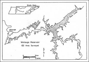 The Watauga Archaeological Survey | McClung Museum of Natural History ...