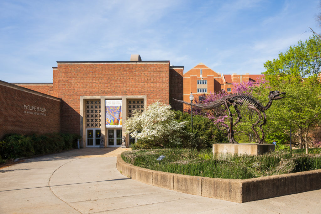 About Mcclung Museum Of Natural History And Culture