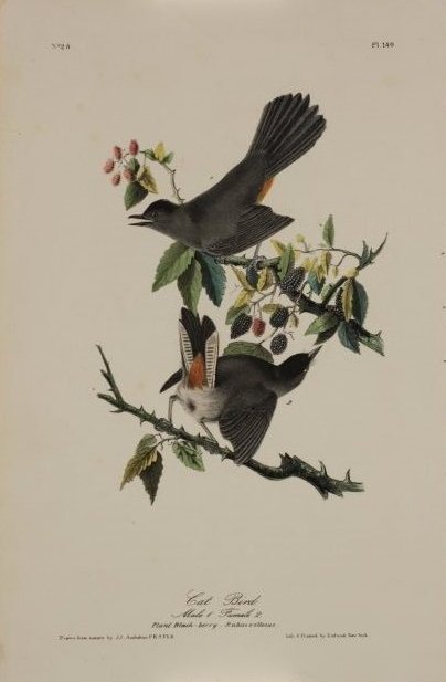 #FacultyFavorites: Shellen Wu | McClung Museum of Natural History & Culture