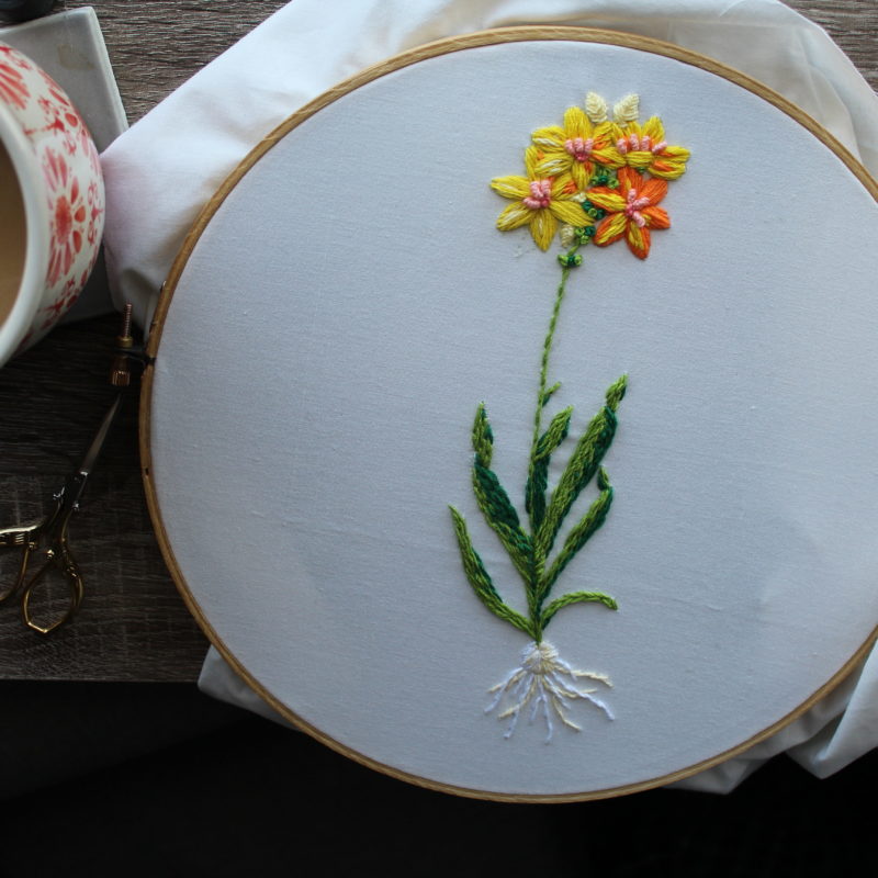 Finished_embroidery | McClung Museum of Natural History & Culture