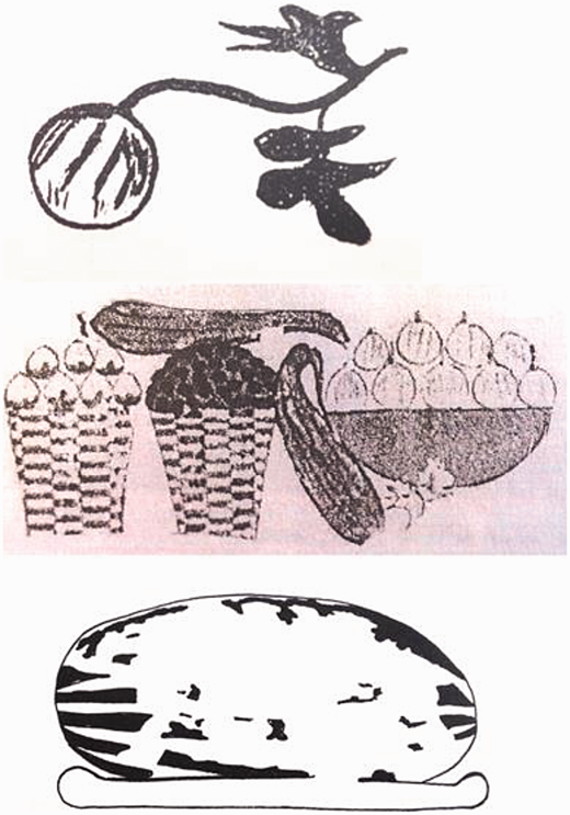Fig2 Watermelon Egyptiantombs Mcclung Museum Of Natural History And Culture