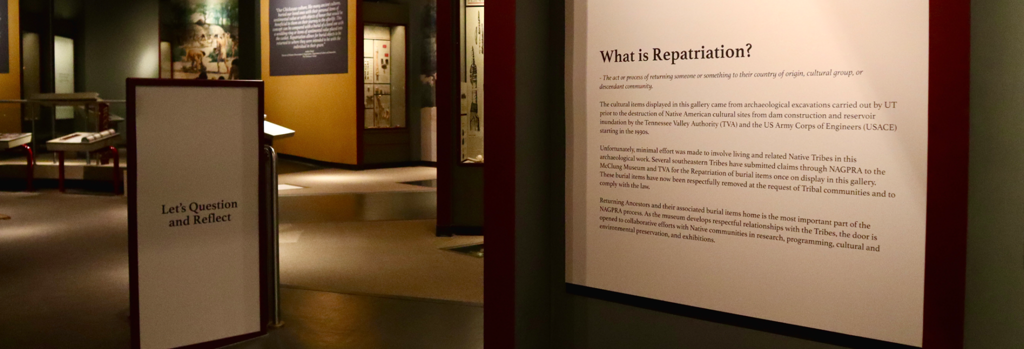 Repatriation of Archaeology & the Native Peoples of Tennessee | McClung ...